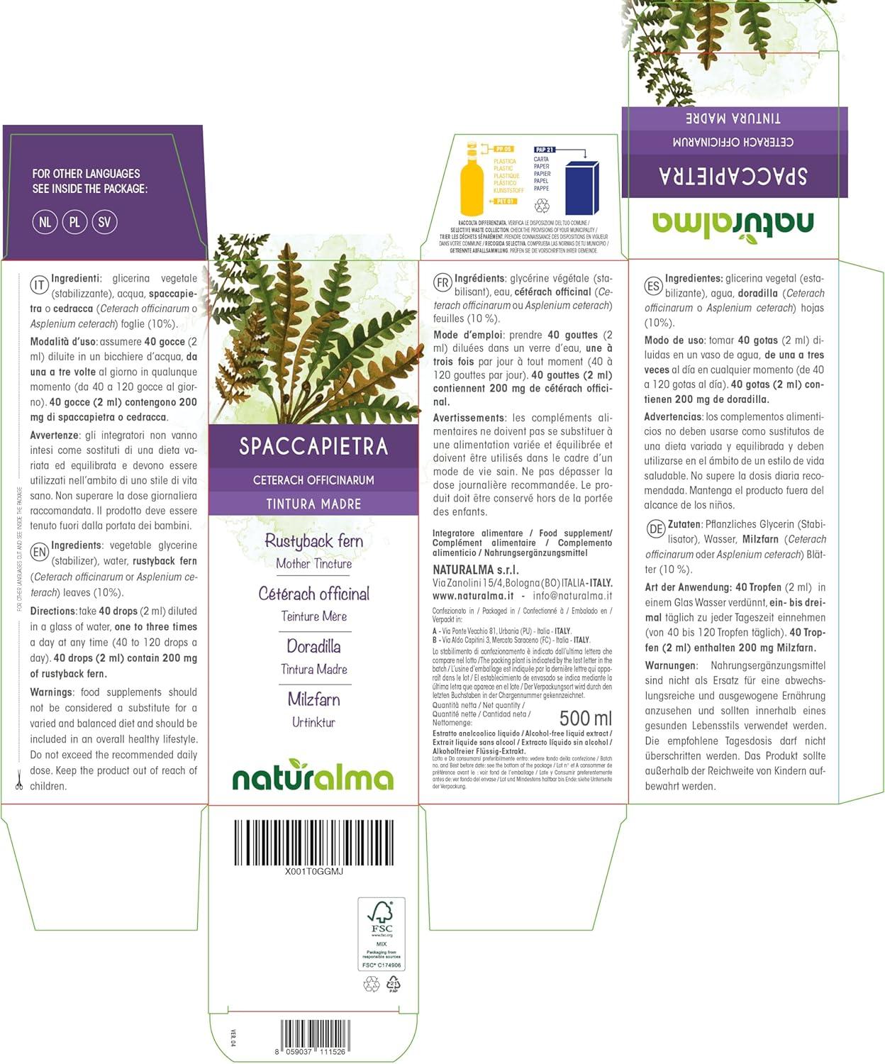 Mushroom Fern Liquid Extract 500ml - Non-Alcoholic Primeval Tincture ...