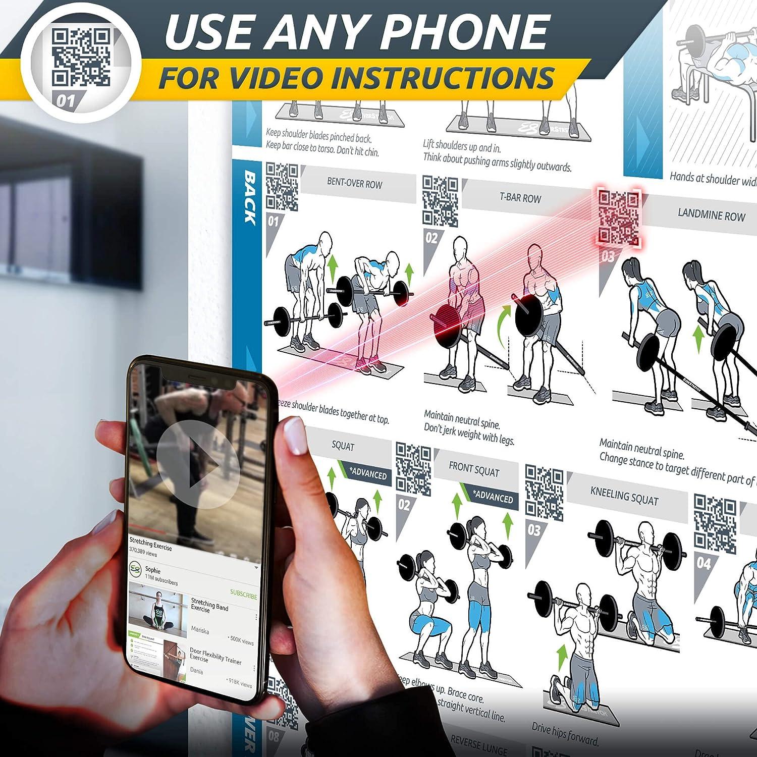 EverStretch Barbell Workout Poster - Large 23x35 | Laminated Chart with ...