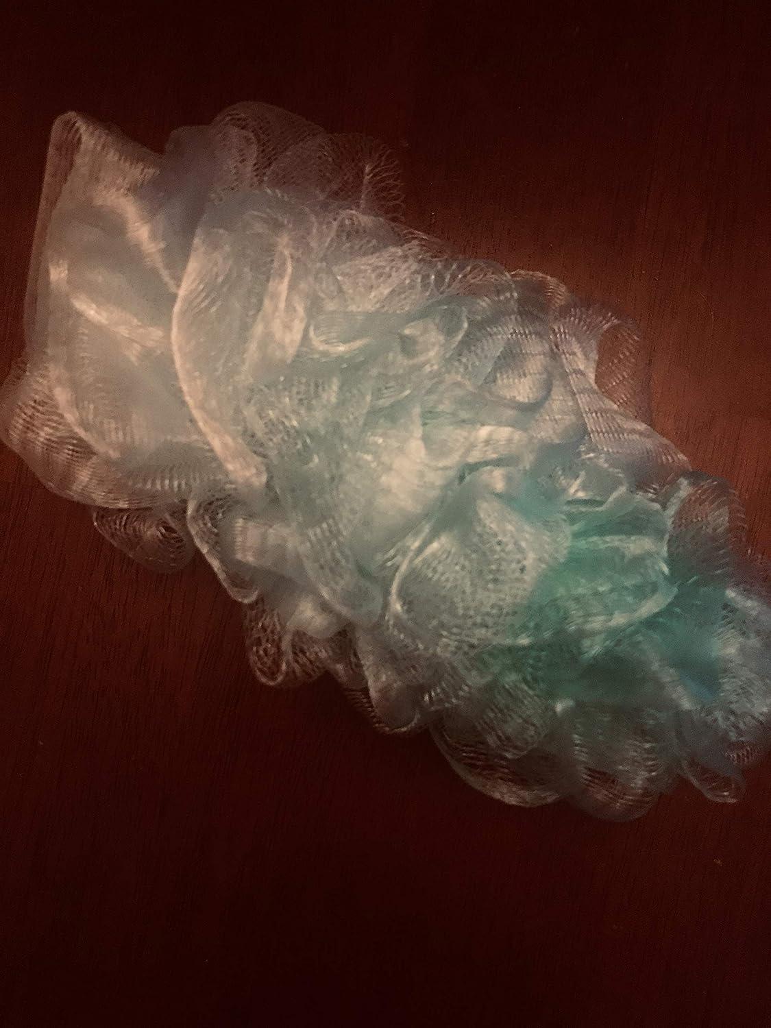 April Bath & Shower Brush with Handle - Nylon Mesh Sponge - 18 | Buy ...