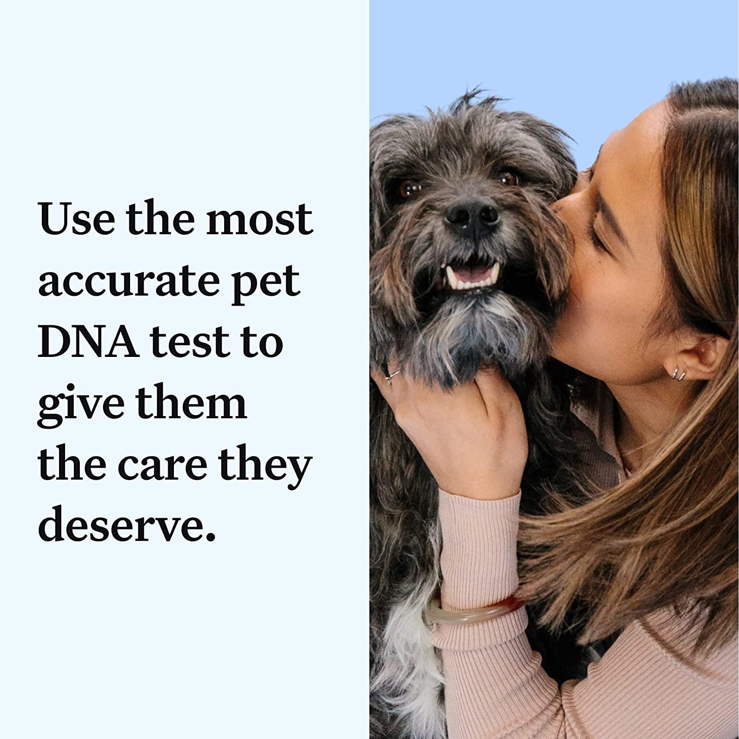 Wisdom Panel Essential Dog DNA Test Kit: Accurate Breed ID, Ancestry ...