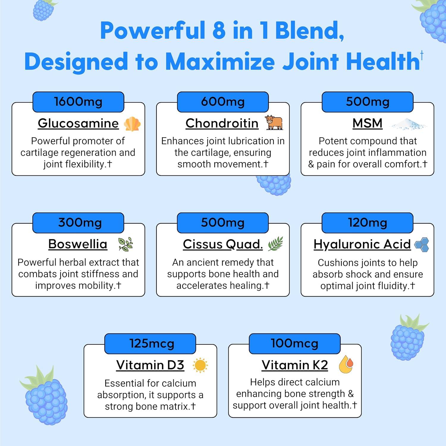 Flexy Joints Complete Joint Support Powder - Glucosamine Chondroitin ...