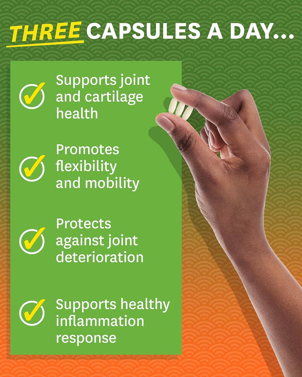 Zenwise Health Advanced Strength Joint Support 180 Tablets | Buy Now ...