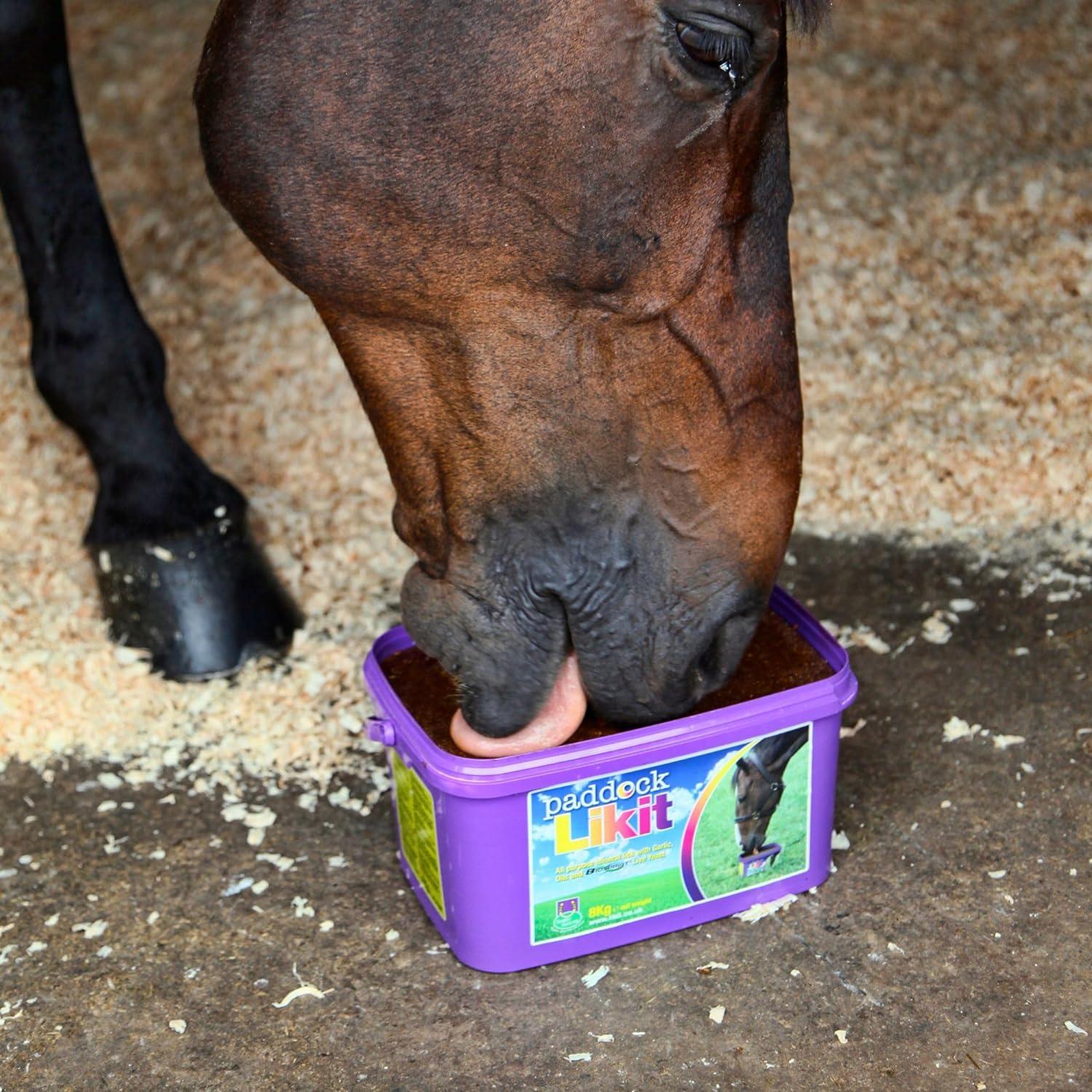 Likit Paddock 8kg | Horse Lick with Essential Vitamins & Minerals ...
