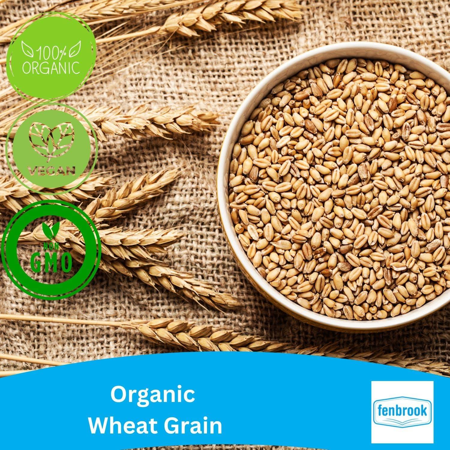 500g Organic Wheat Grain | Certified by Fenbrook Organic | Buy Now with ...