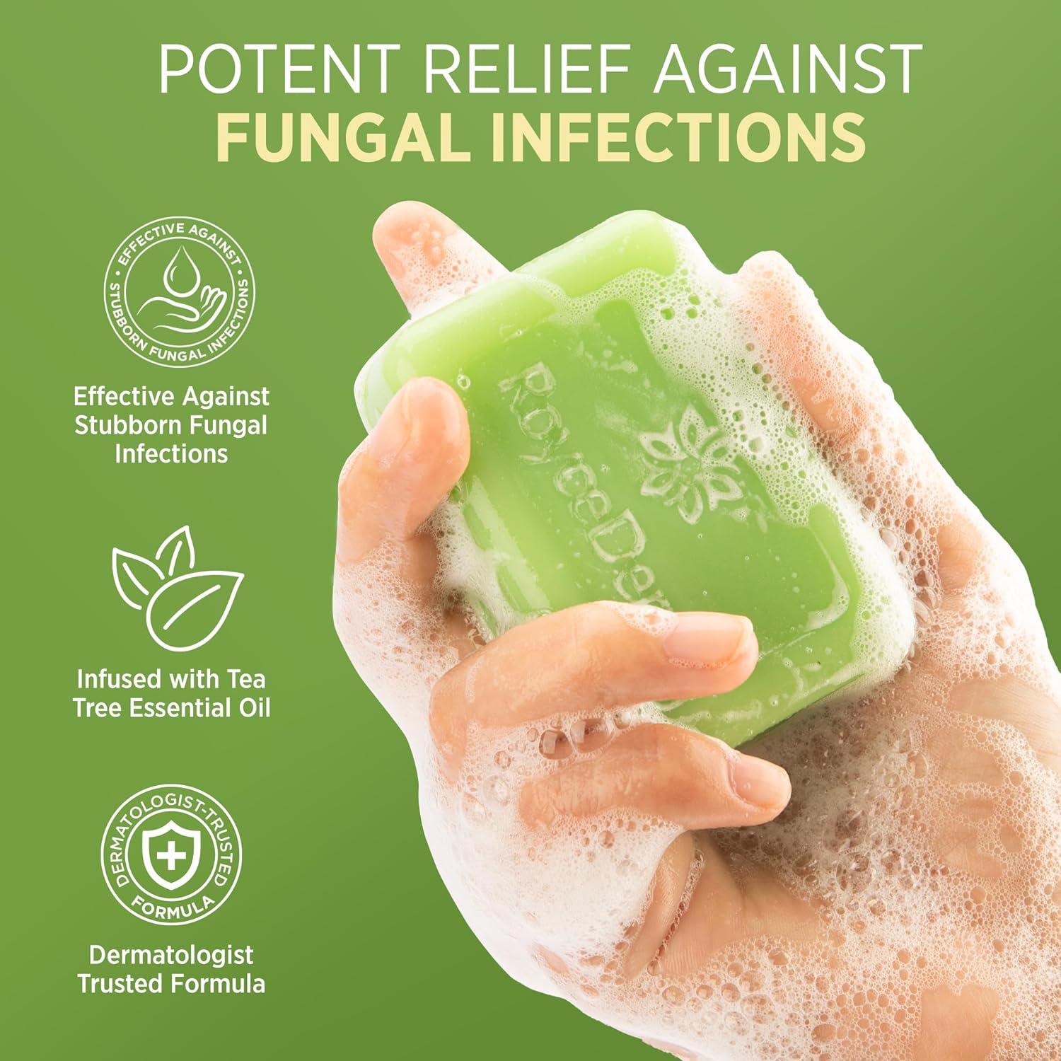 Antifungal Antibacterial Tea Tree Soap: Tea Tree Oil Soap for Face ...