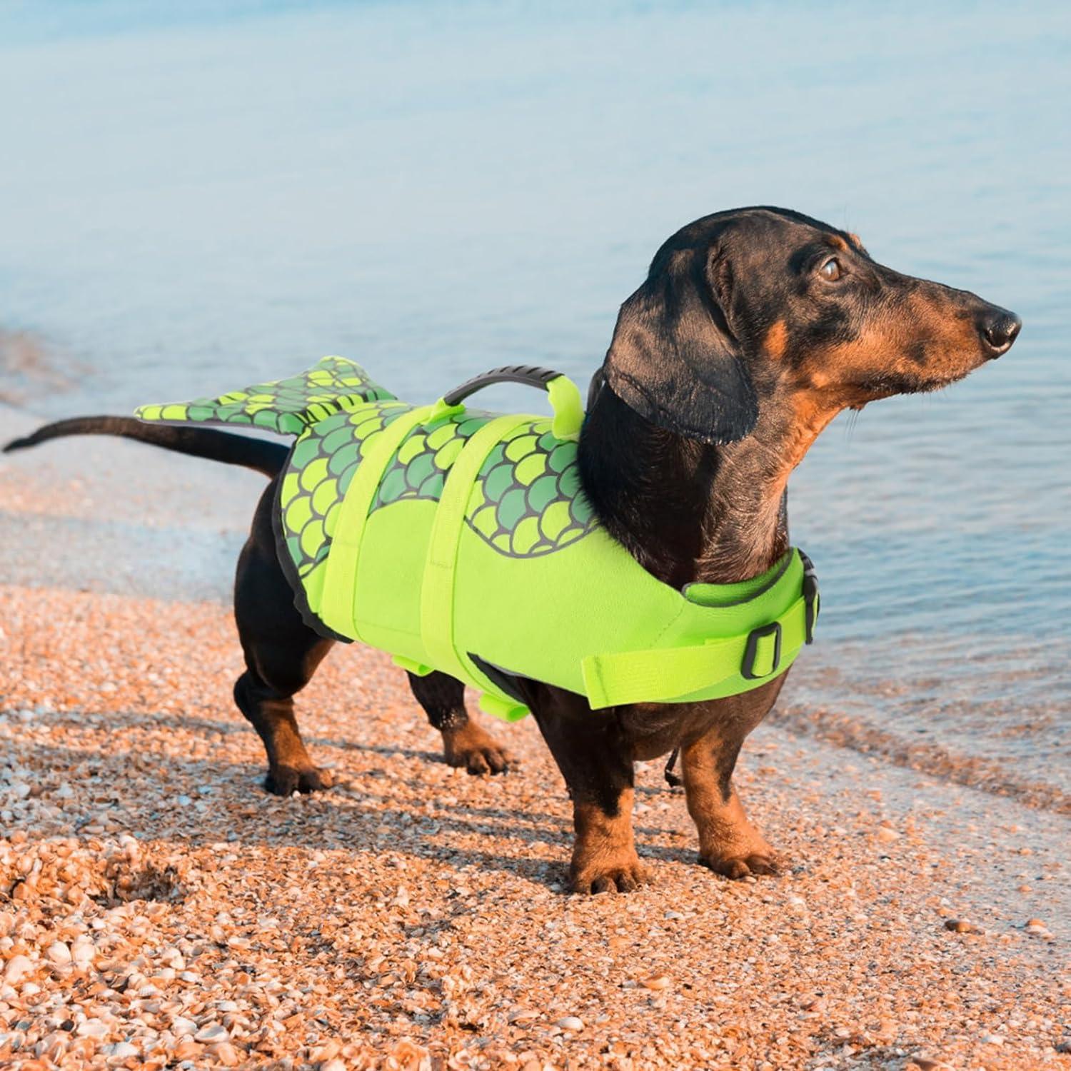 Buy Cit toile Shark Dog Life Jacket - Stylish & Safe Vest for Small ...