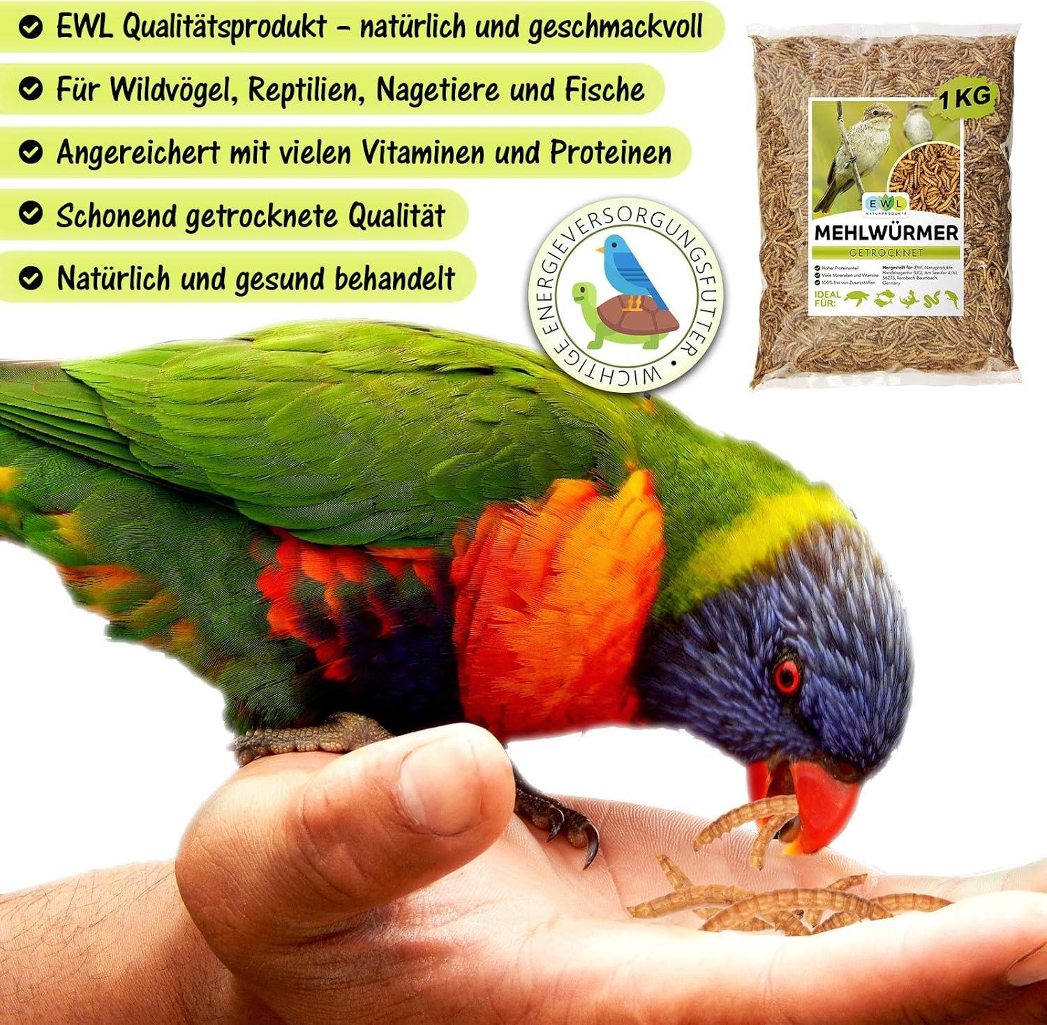 Flourworms Dried 1kg - Premium Insect Snack for Birds Fish Reptiles ...