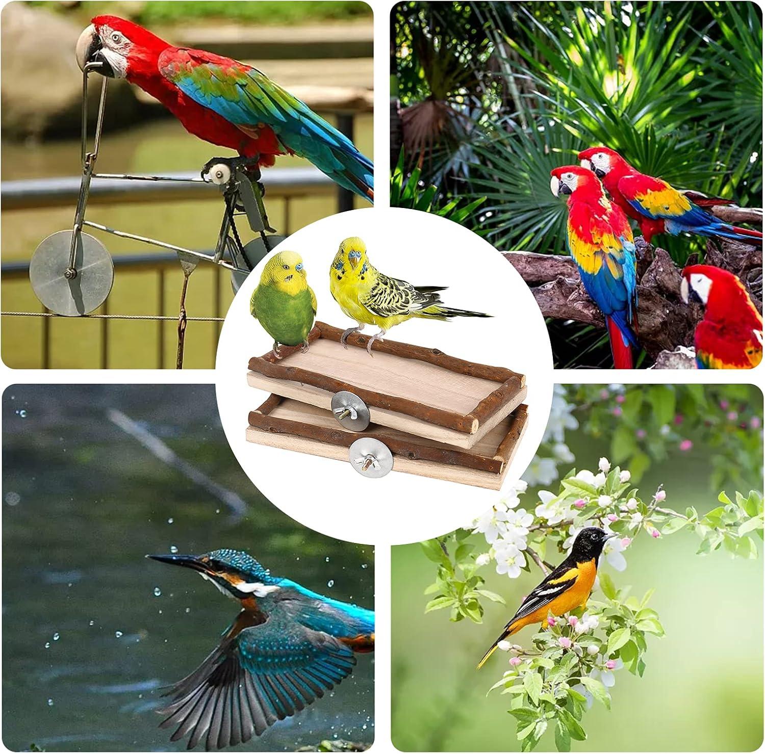 Buy Corner Seating Boards for Birds - 2-Set 10x20cm with Natural Wood ...