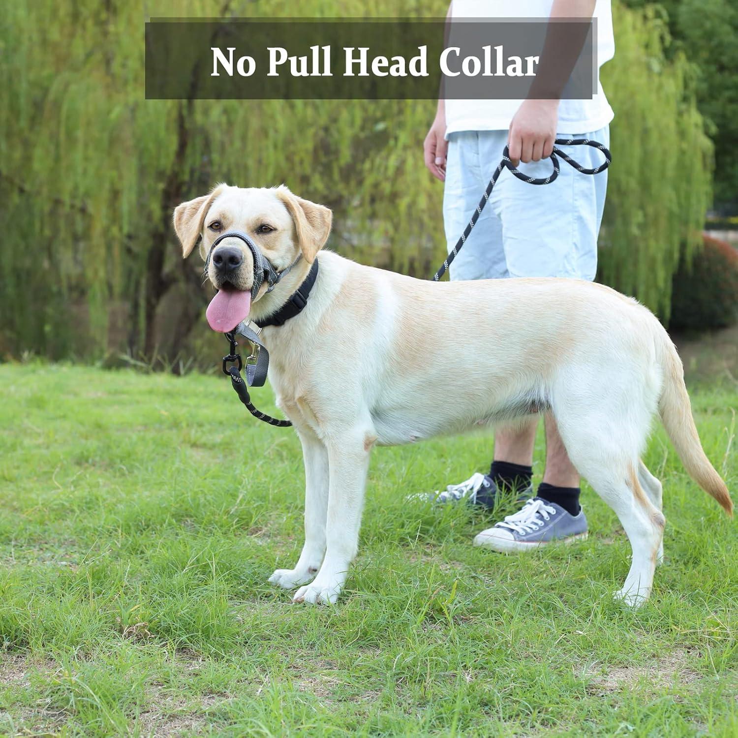 Premium Dog Handlebars for Medium & Large Dogs | Soft Upholstery ...