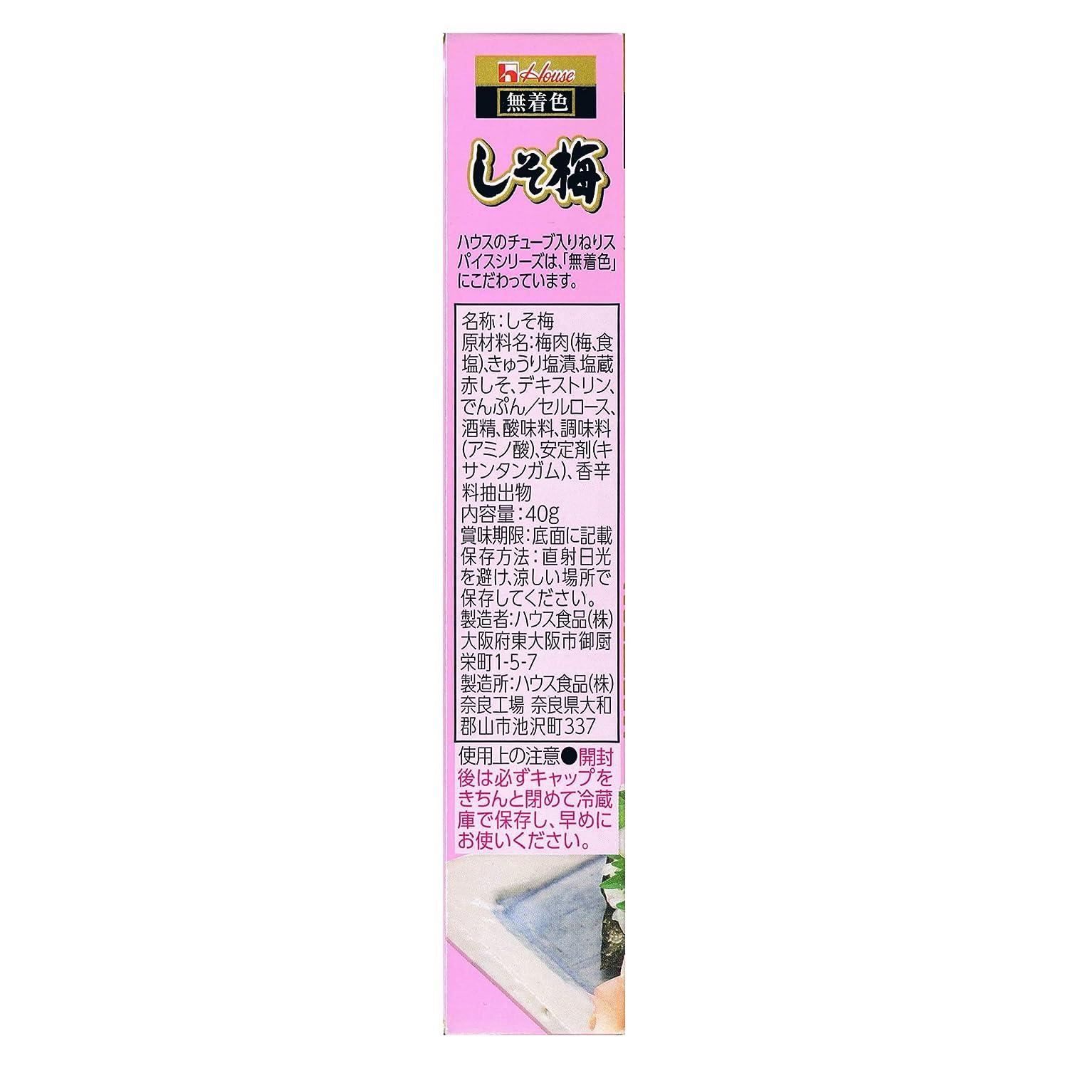 Japanese Plum Shiso Paste 1.4oz(40g) - Authentic Shiso Ume Nanko-ume Paste in Convenient Plastic ...
