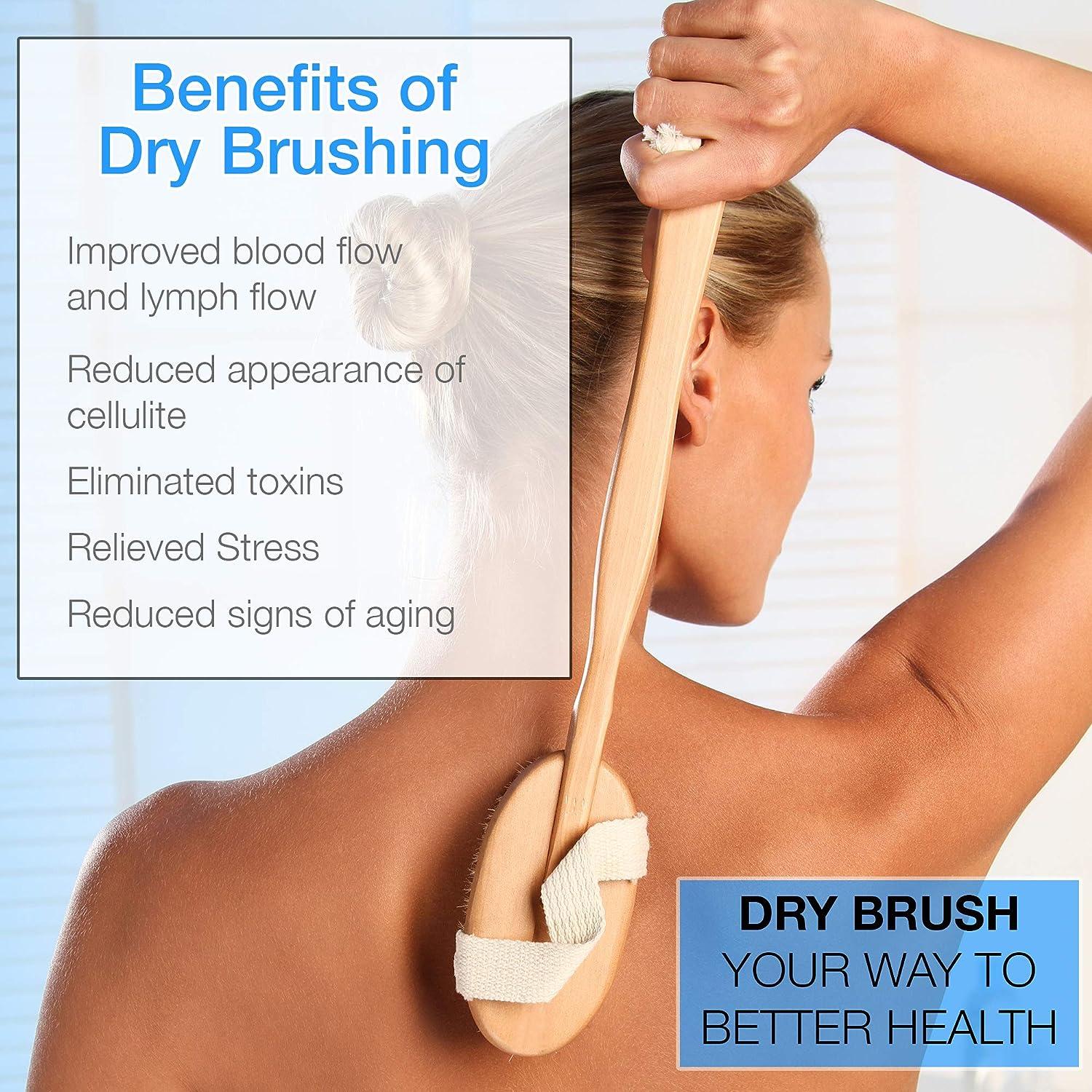 3-Piece Dry Brushing Body Brush Set | 100% Natural Boar Bristles ...