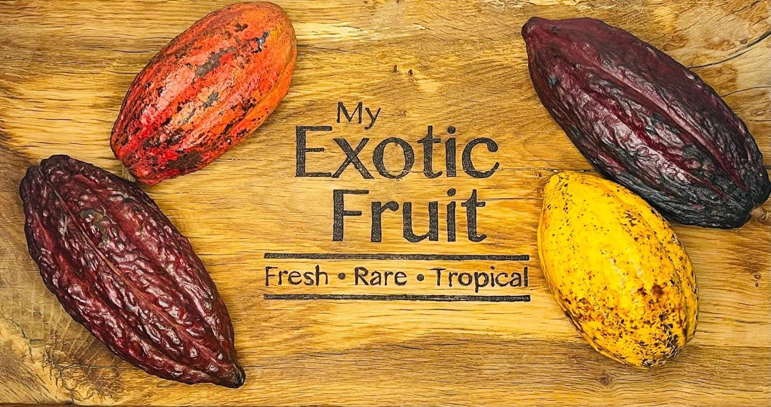 Cacao fruit - cocoa pods - Exotic fruit - Fresh from the Caribbean ...