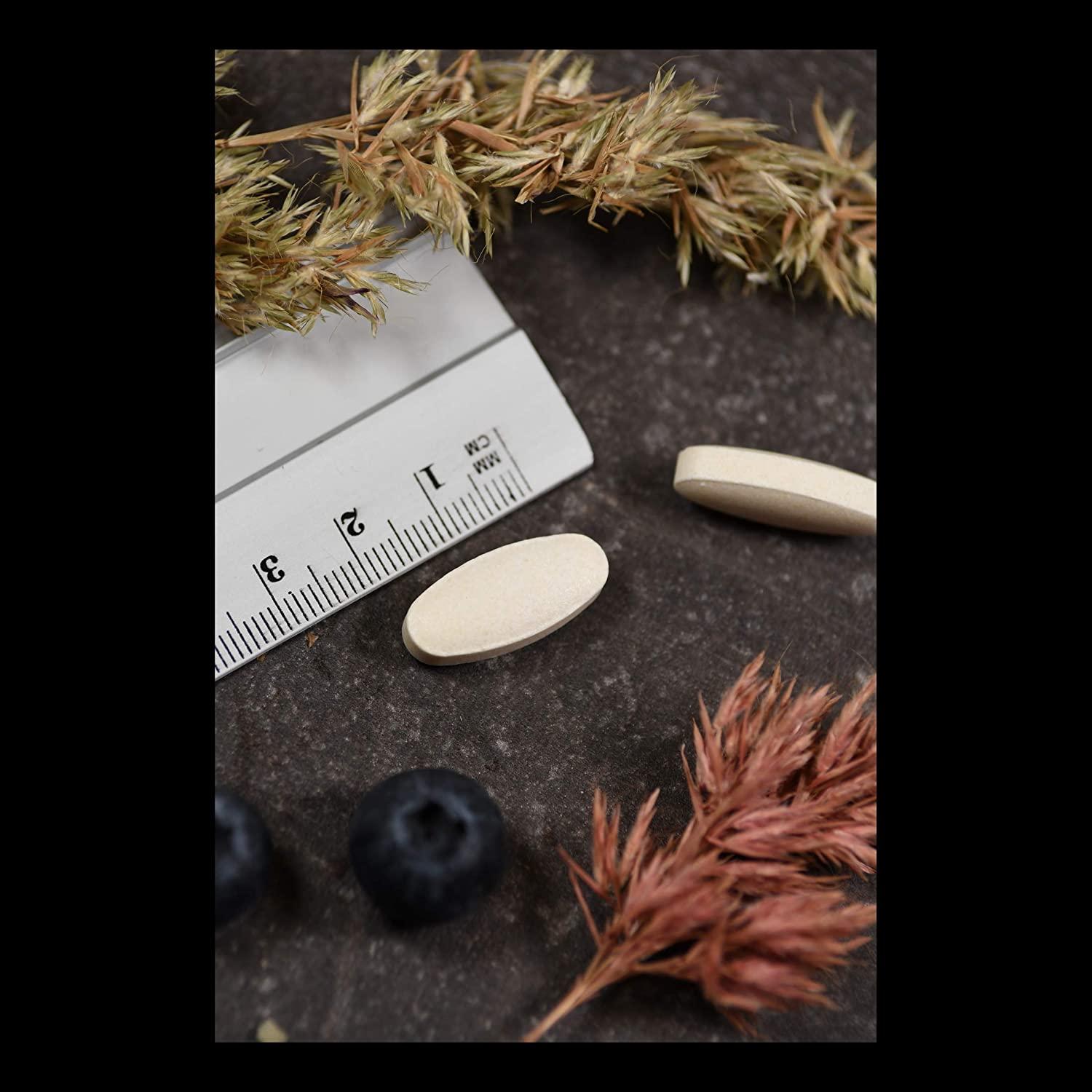 KAL 100% Vegetarian MSM and Glucosamine Tablet 500mg (60 Count) - Joint ...