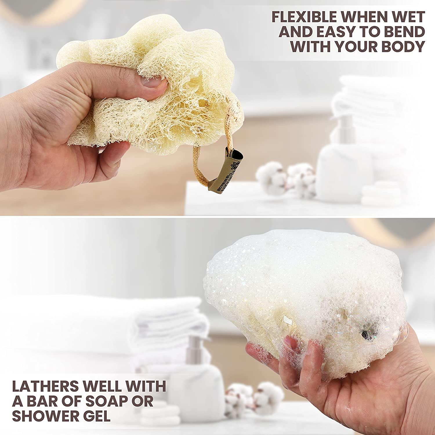 Almooni Mini Natural Loofah Sponge - Egyptian Shower Exfoliating ...
