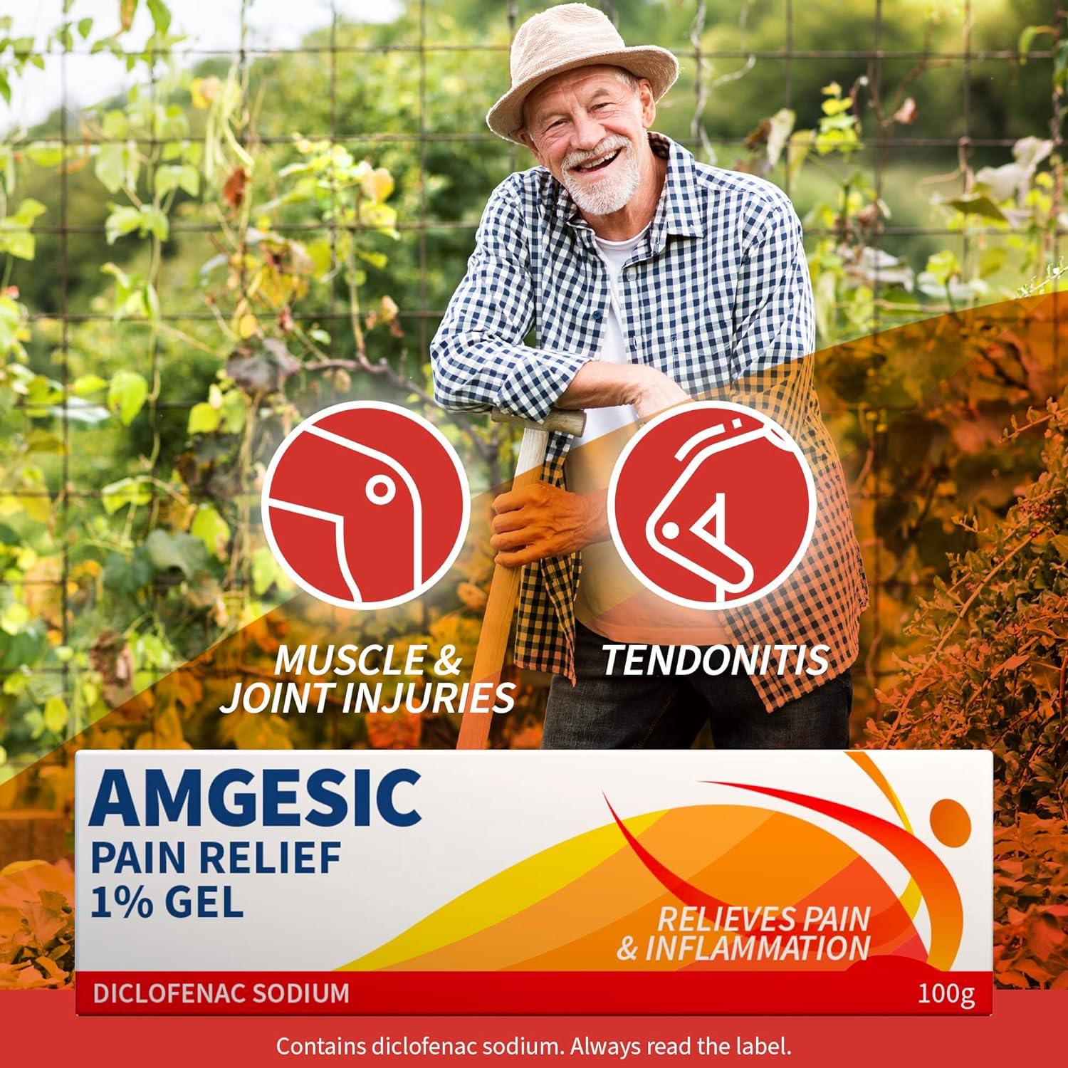 Amgesic Pain Relief 1% Gel 100g - Anti-Inflammatory Diclofenac Gel for ...