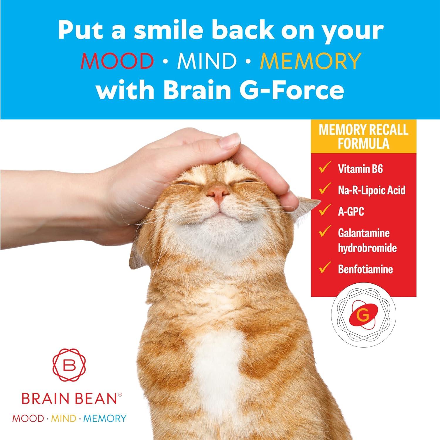 Brain G-Force Supplement - Optimal Brain Function with Galantamine R ...