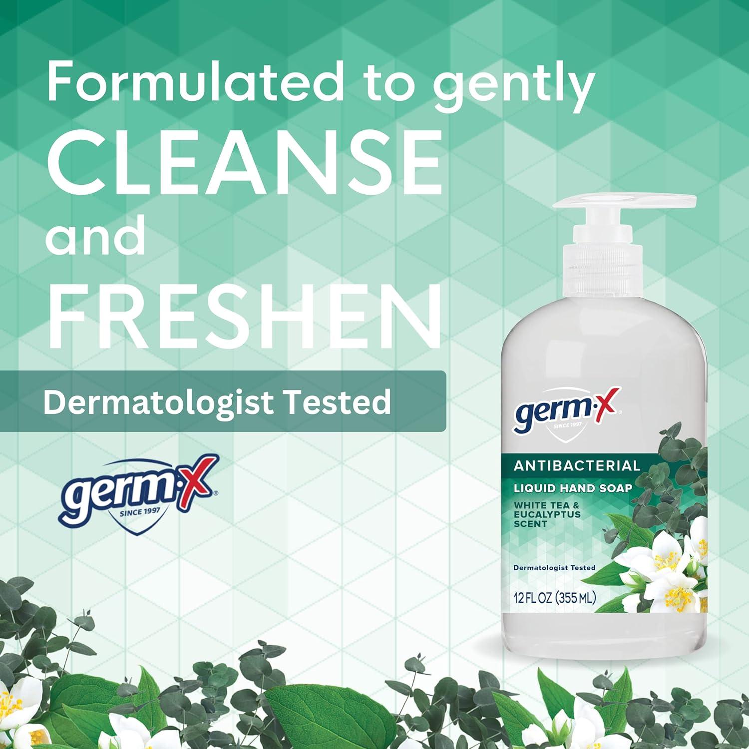 Germ-X Antibacterial Hand Soap Moisturizing Liquid Hand Wash for Kitchen pH Balanced ...