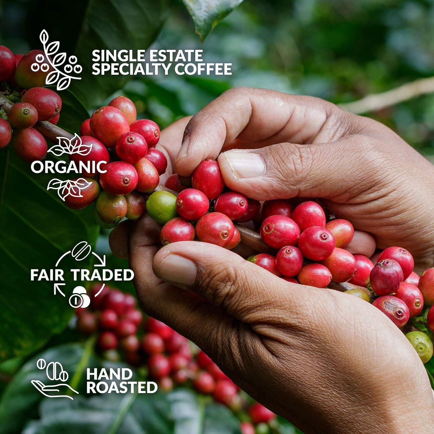 Premium Coffee Gift Set for Men & Women - 5 Single Estate & Organic ...