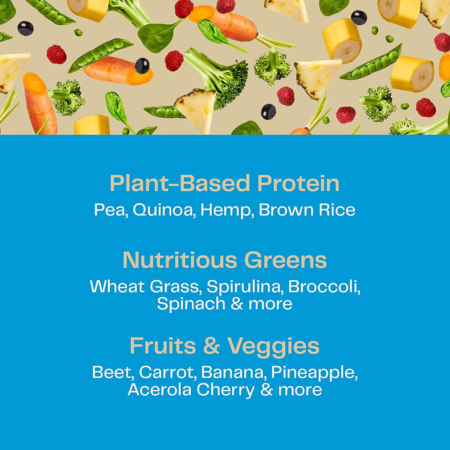 Amazing Grass Organic Plant Protein Blend - Vegan Protein Powder with ...
