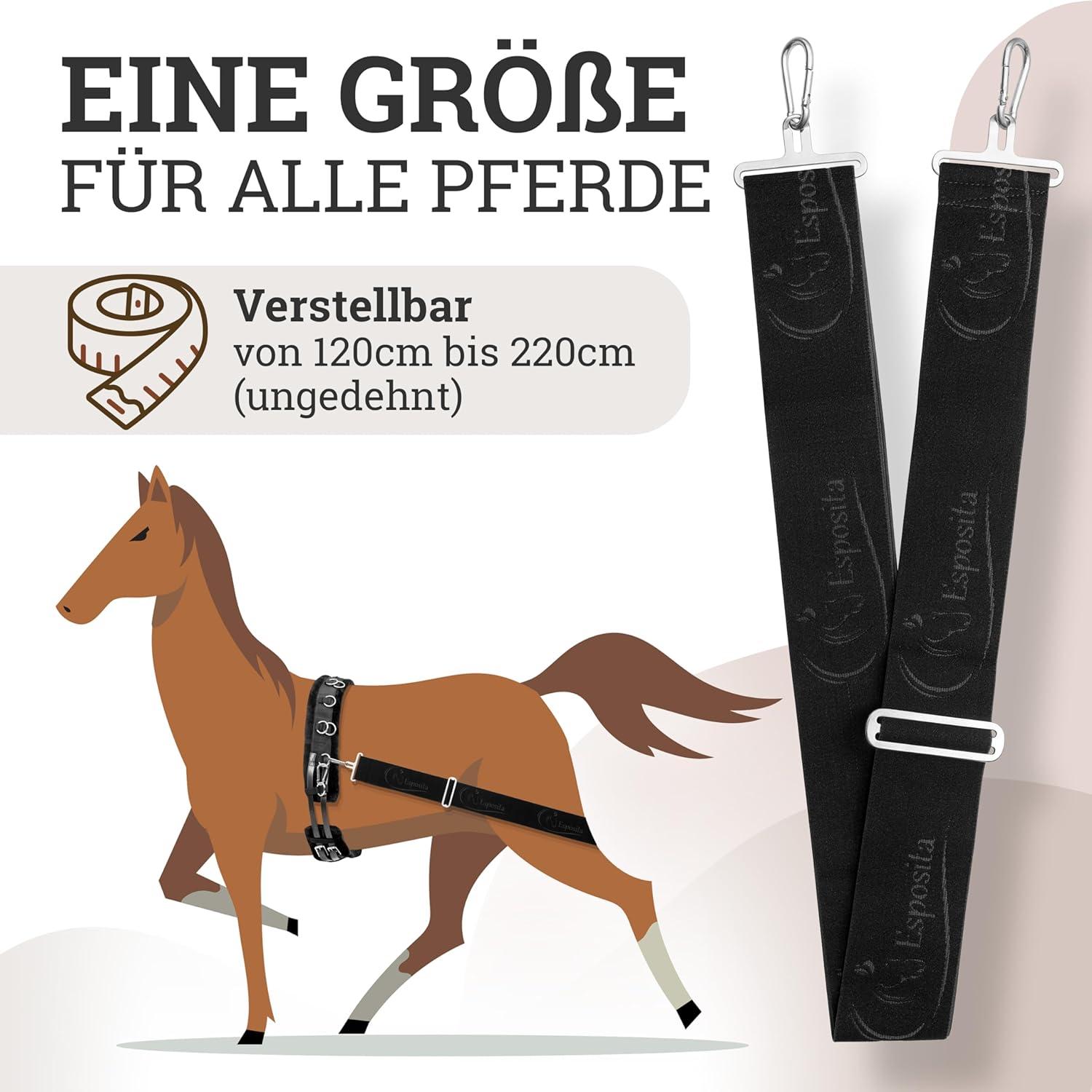 Esposita Elastic Lunging Aid Horse Pony Body Band Horses Floor Work ...