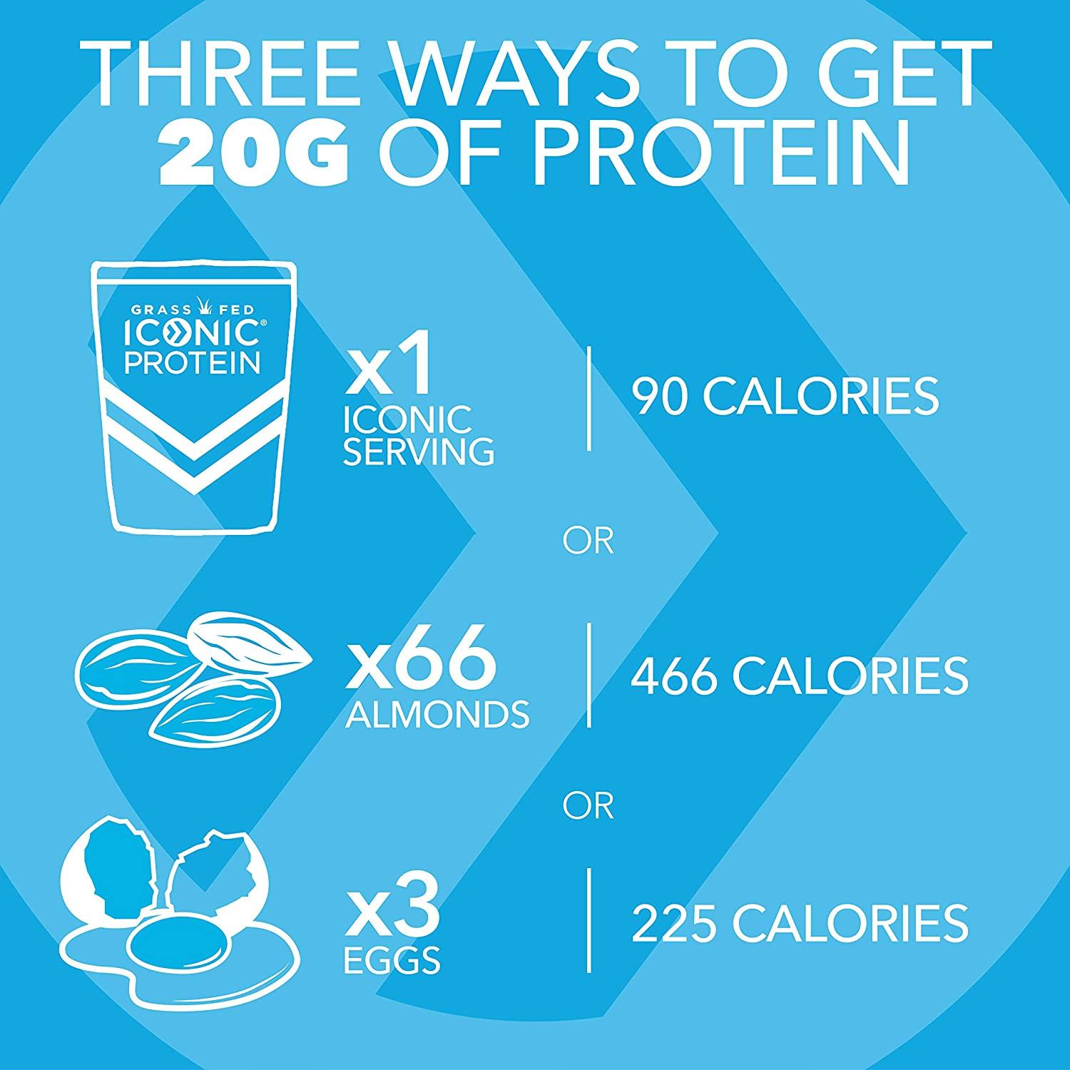 Iconic Chocolate Truffle Protein Powder - Sugar Free, Low Carb, 20g ...