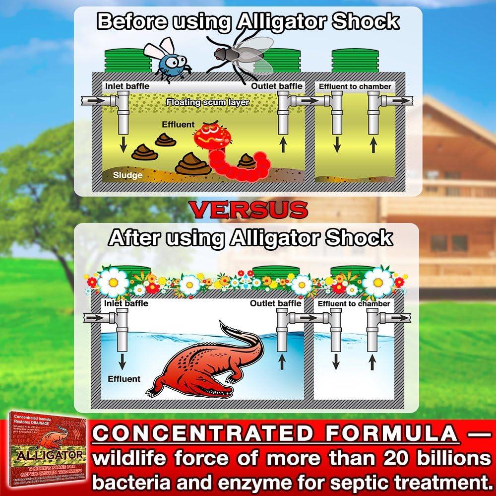 Septic Treatment Tank Cleaner Safe Enzyme and Bacteria for Best Septic ...
