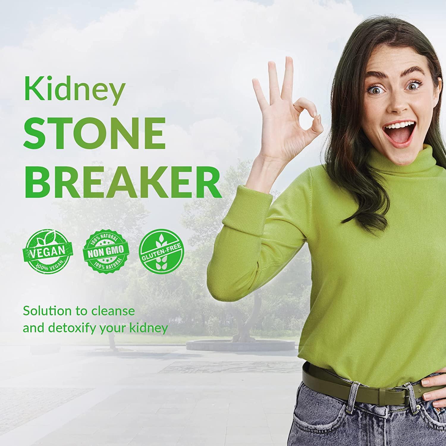 Logic Nutra Chanca Piedra Kidney Stone Breaker 800mg - 120 Tablets for ...