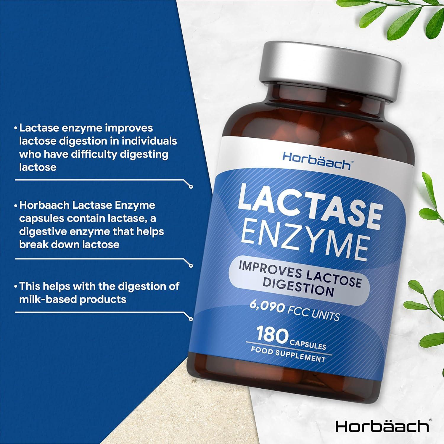 Lactase Enzyme Tablets for Improved Lactose Digestion | 180 Capsules by ...