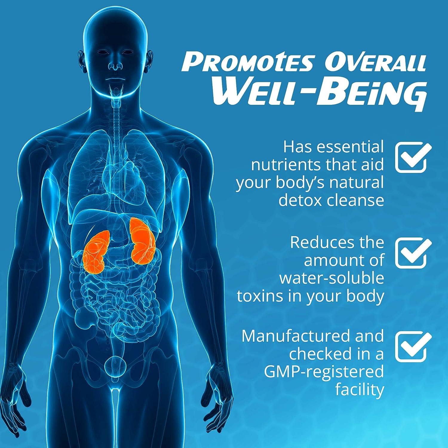 RaDoTech RenActive Kidney Detox Cleanse - 60 Veg Capsules for Natural ...