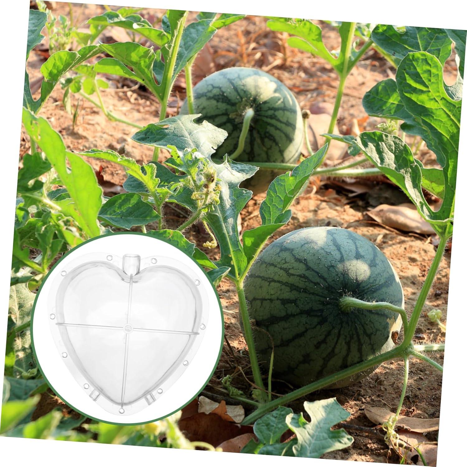 OKUMEYR Heart Shaped Watermelon Molds Gardening Fruit Molds Vegetable ...