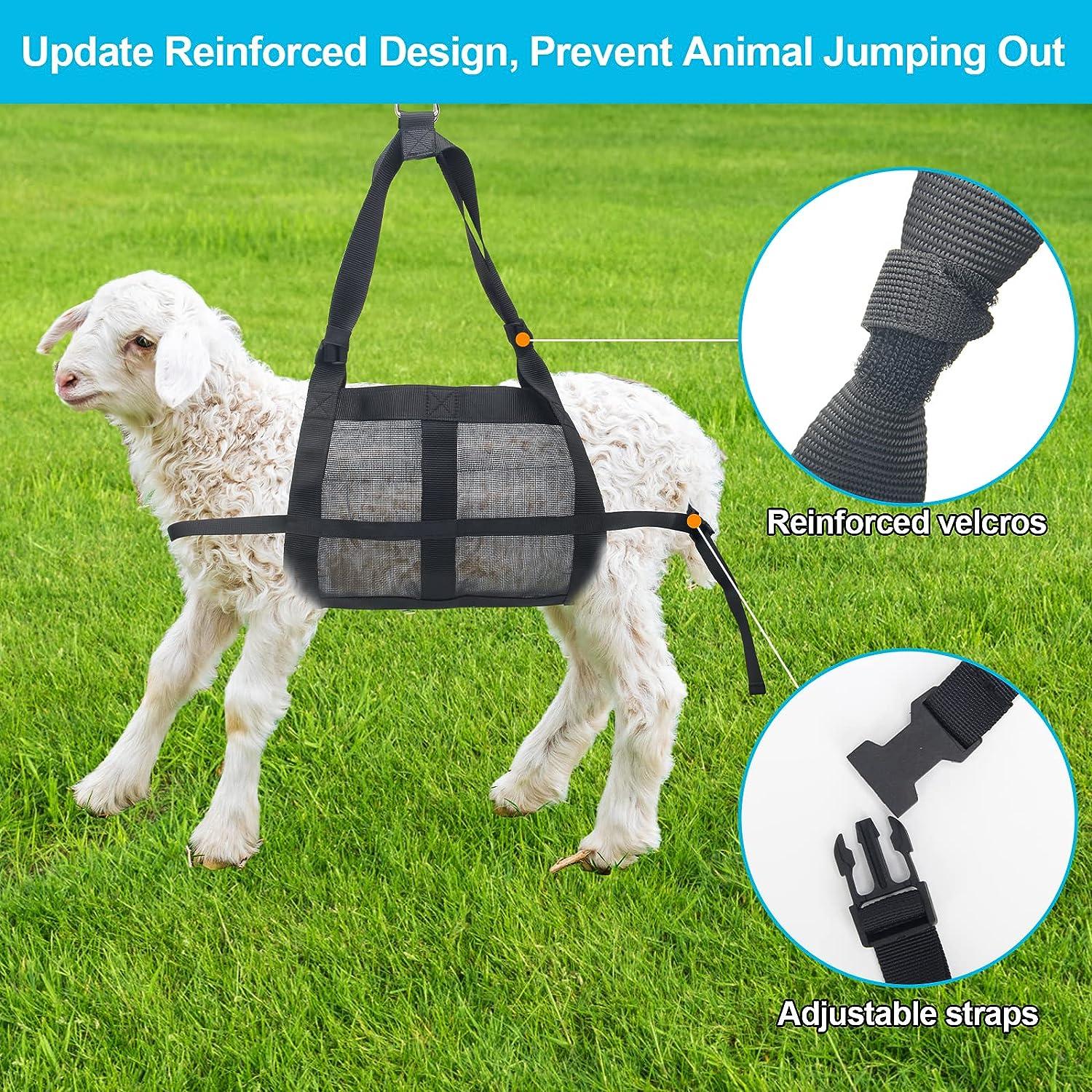 Boyistar 300 LB Calf Sling for Animal Weighing - Livestock Sling with ...