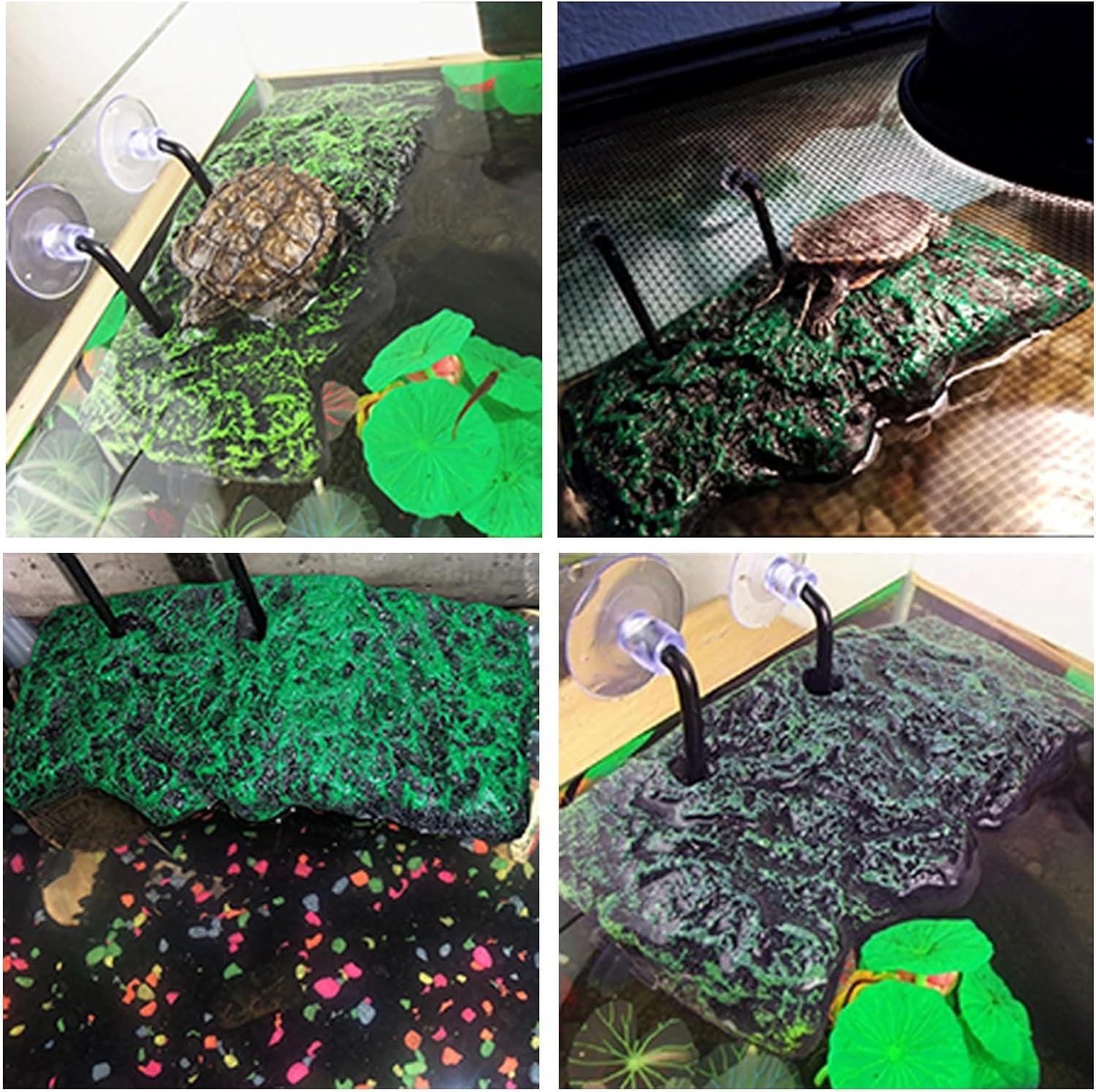 BigTron Floating Turtle Platform - 20cm Rectangular Terrapin Dock for Brazilian Tortoise | Buy ...