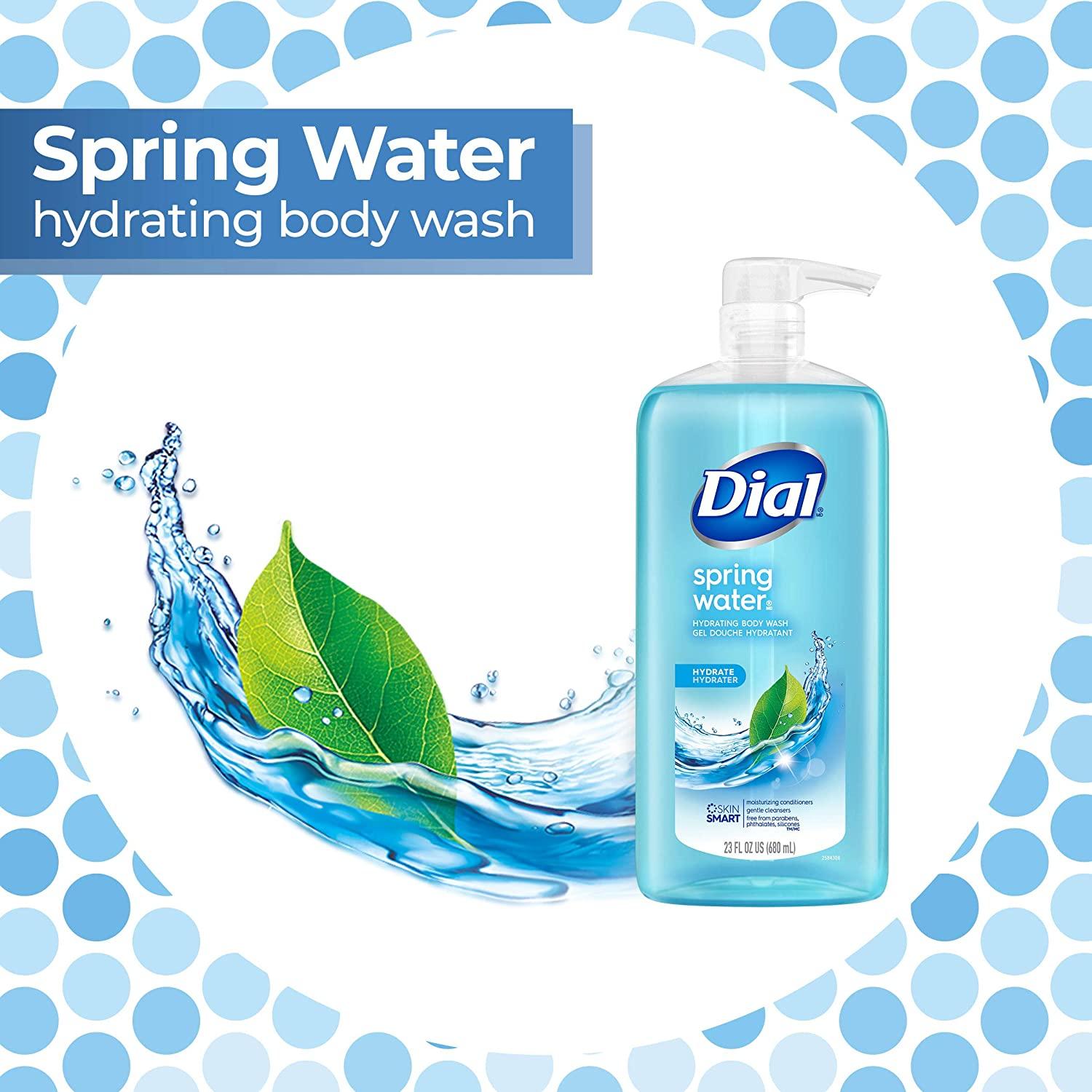 Dial Body Wash Spring Water 23 fl oz - 3 Pack | Buy Now with Express ...