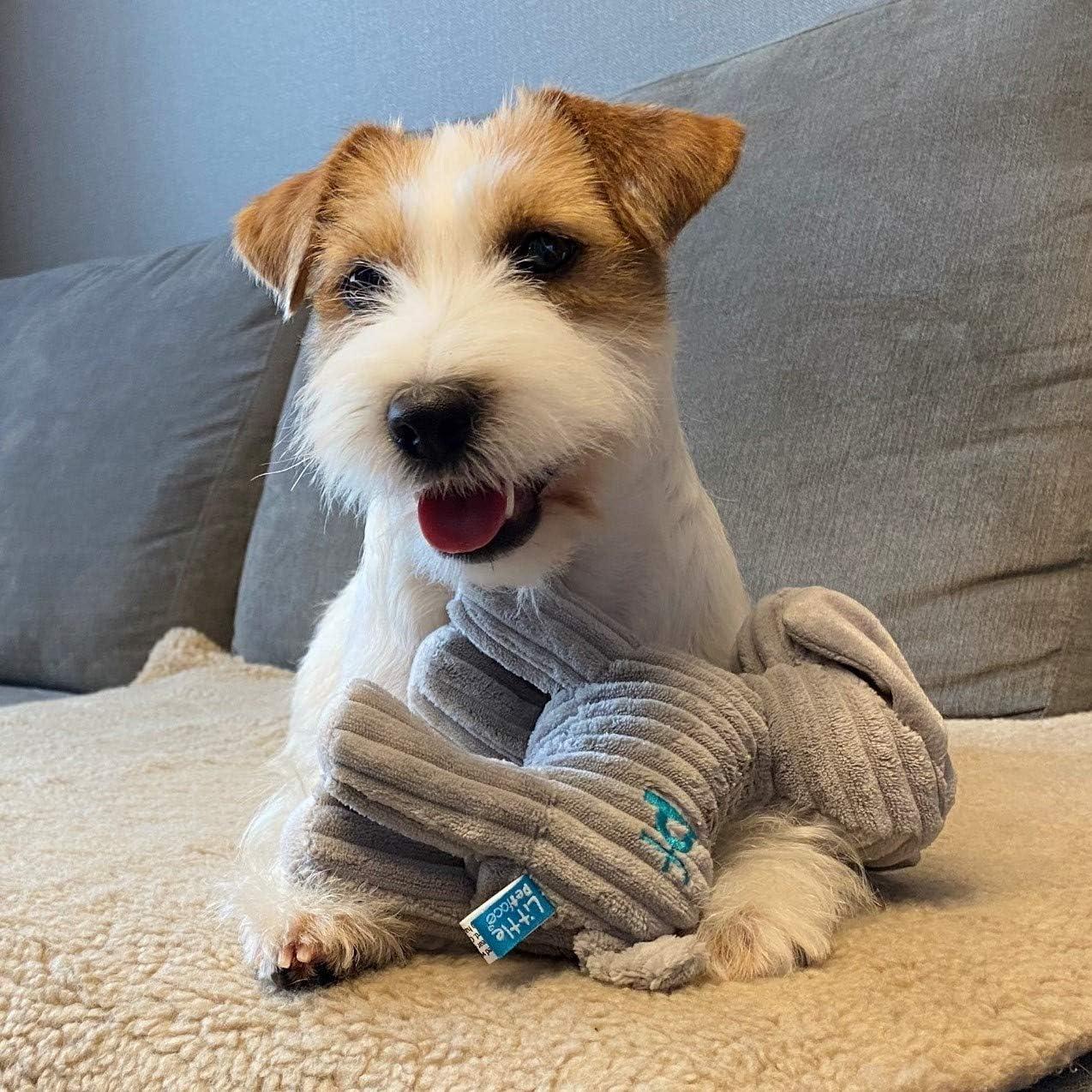 Petface Freddi Cord Plush Puppy Dog Toy - Little Petface | Shop Now ...