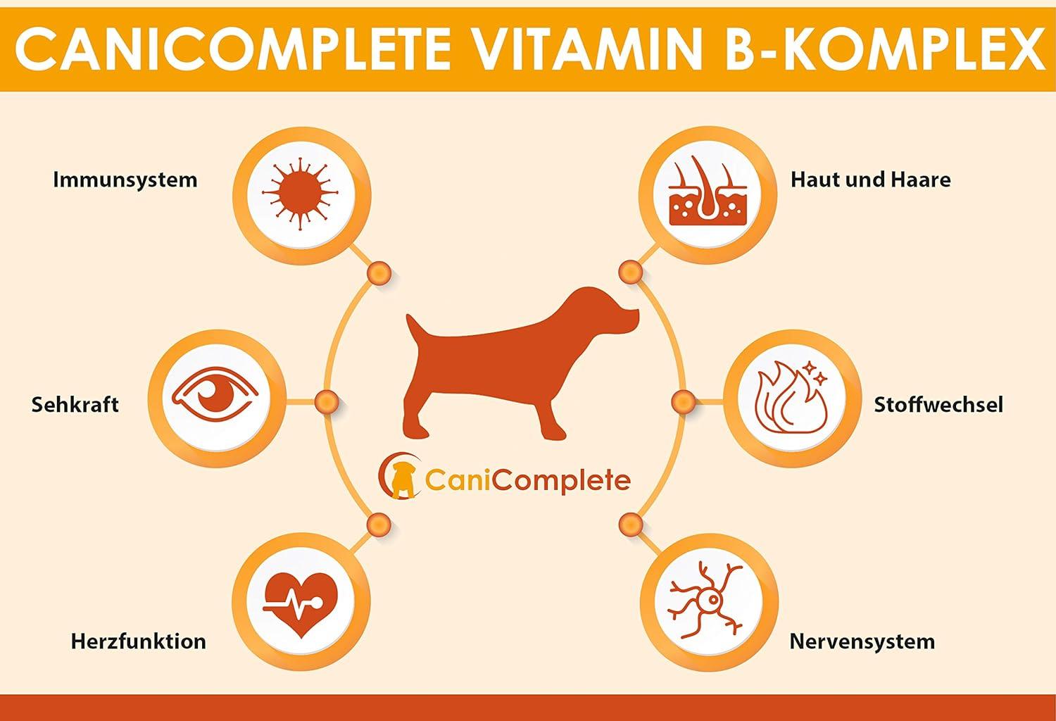 CANICOMPLETE High-Dose Vitamin B Complex for Dogs & Cats | Boost Immune ...