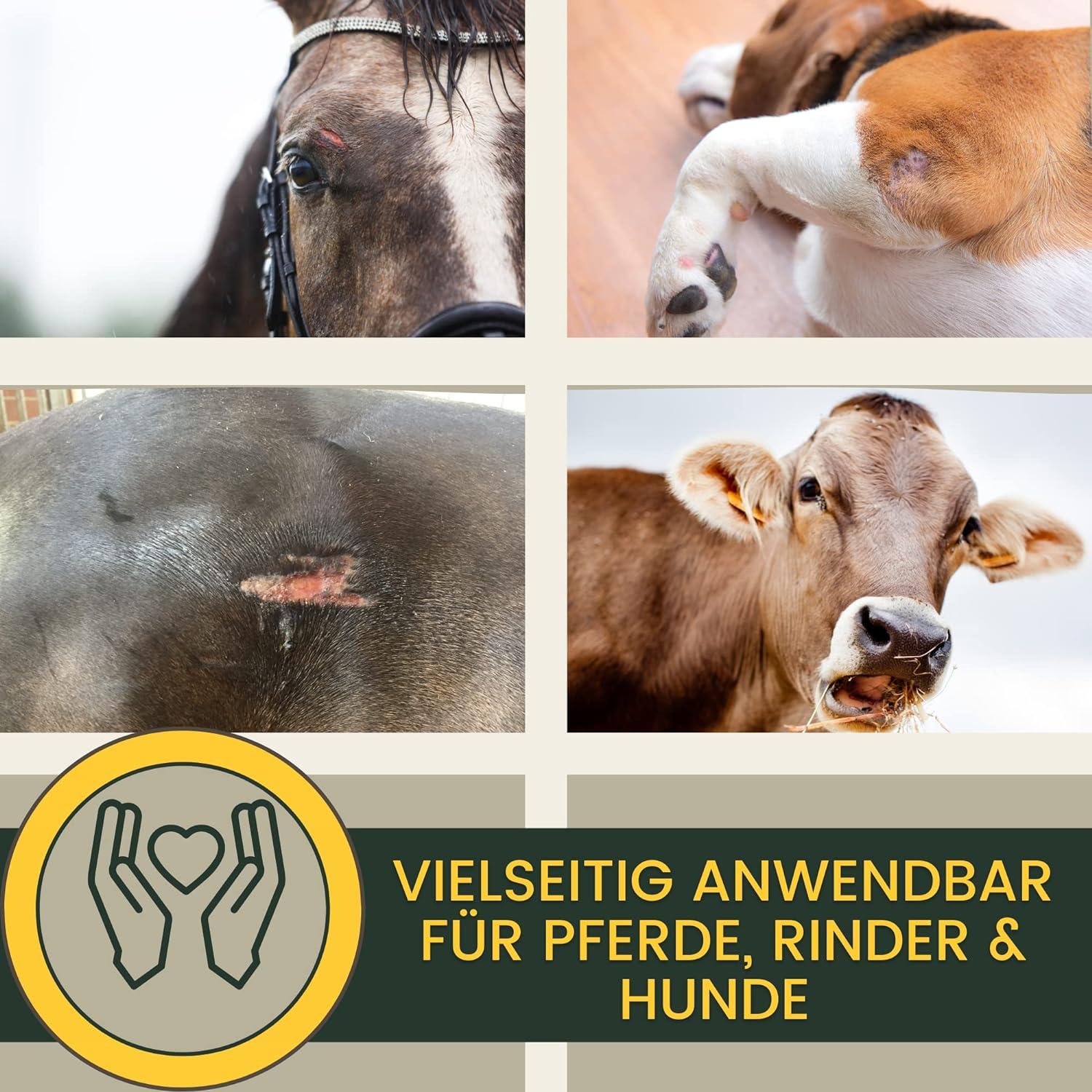 First Aid Set for Animals | Silver Spray & Zinc Ointment for Horses ...