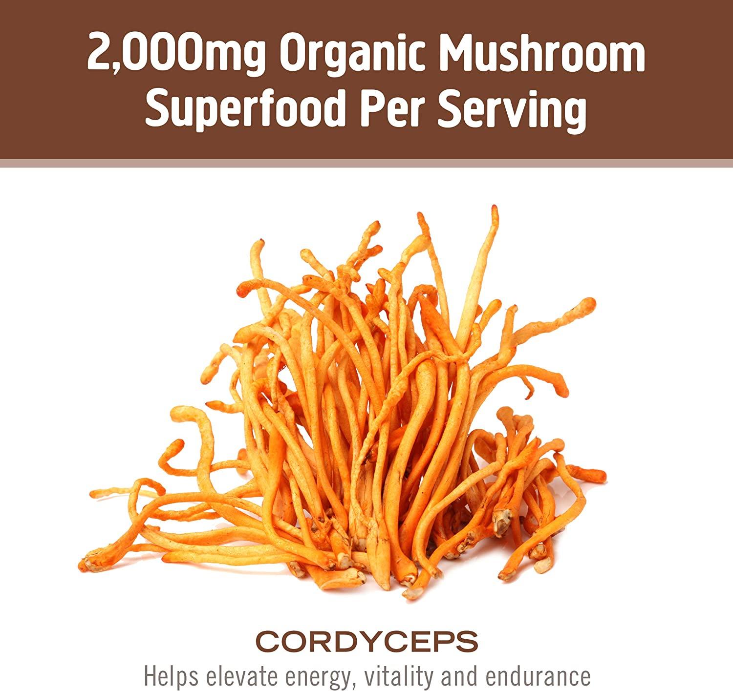Om Mushroom Superfood Cordyceps Organic Powder - 3.5 oz for Energy ...