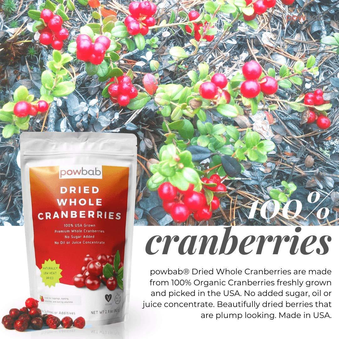 Organic Unsweetened Dried Cranberries - 100% USA Grown, No Sugar or ...