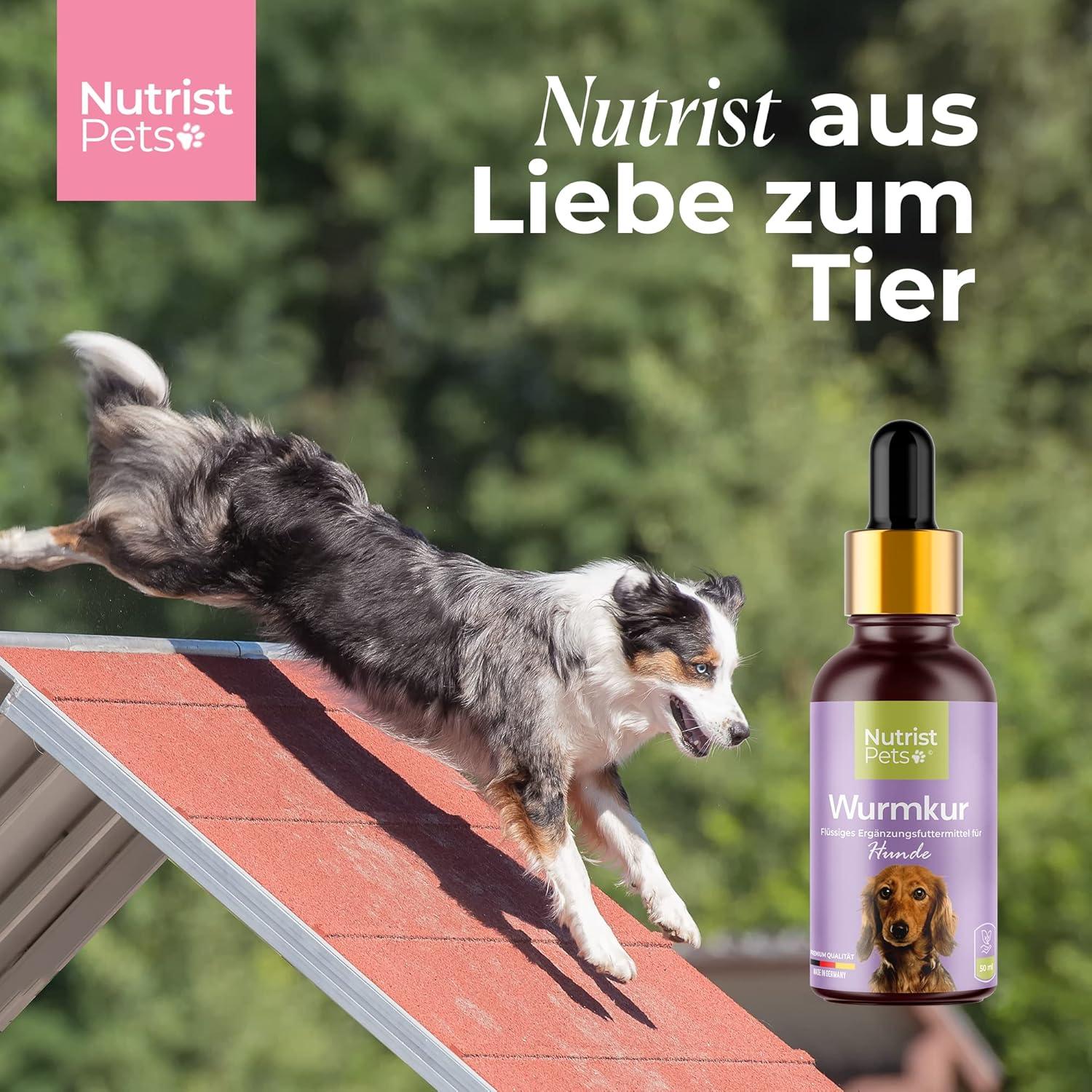 Nutrist NEW: Vegan Natural Worm Treatment for Dogs - Herbal Liquid for ...