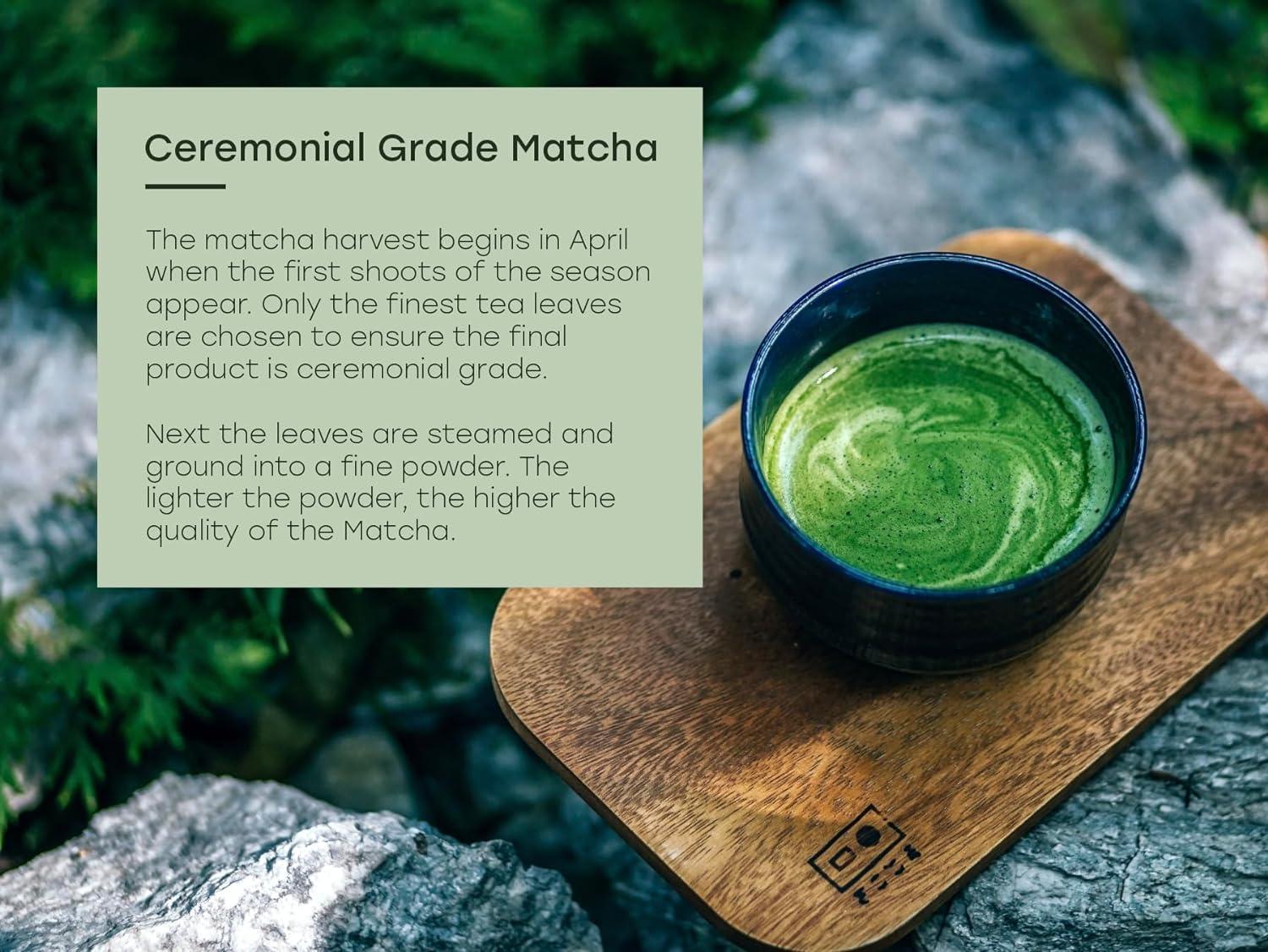 AAA Grade Matcha Green Tea Powder (50g) for Focus & Energy - 50 ...