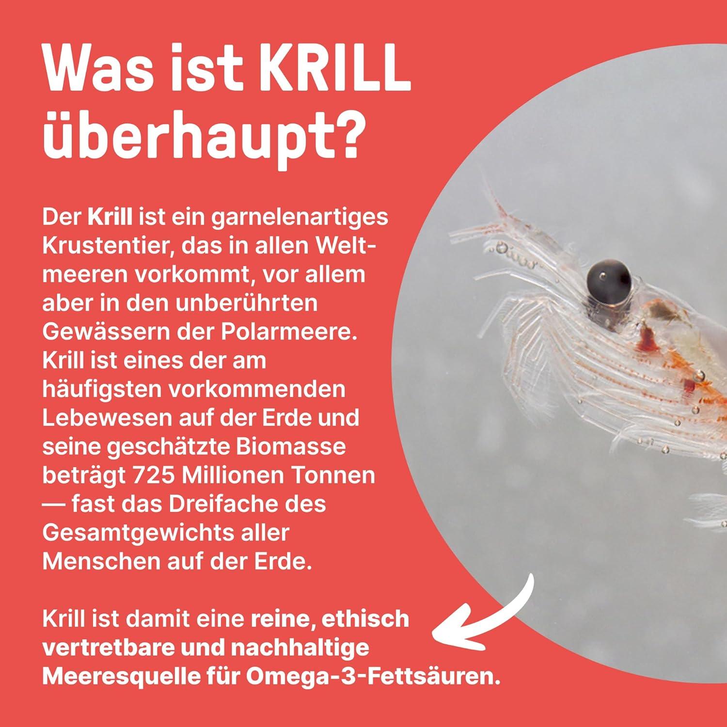 Braineffect Premium Omega 3 Capsules - Pure Krill Oil | 100% Natural ...