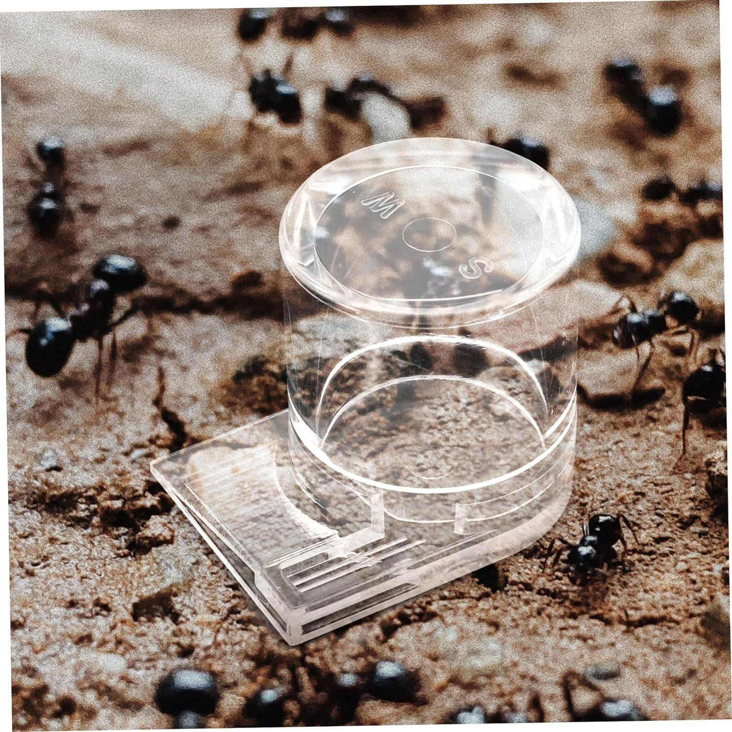 KICHOUSE Pet Water Feeder Ant Watering Station Ant Water Drinking Cup ...