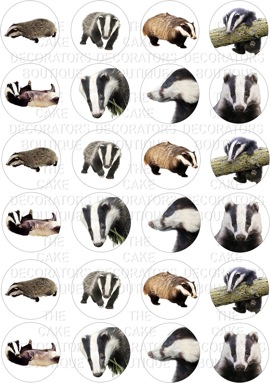 24 edible PRE CUT badger badgers british wildlife kids childrens party ...