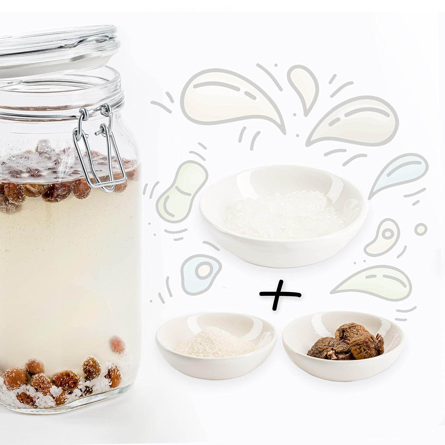 Buy Water Kefir Starter Set - DIY Kefir Kit with Original Japanese ...
