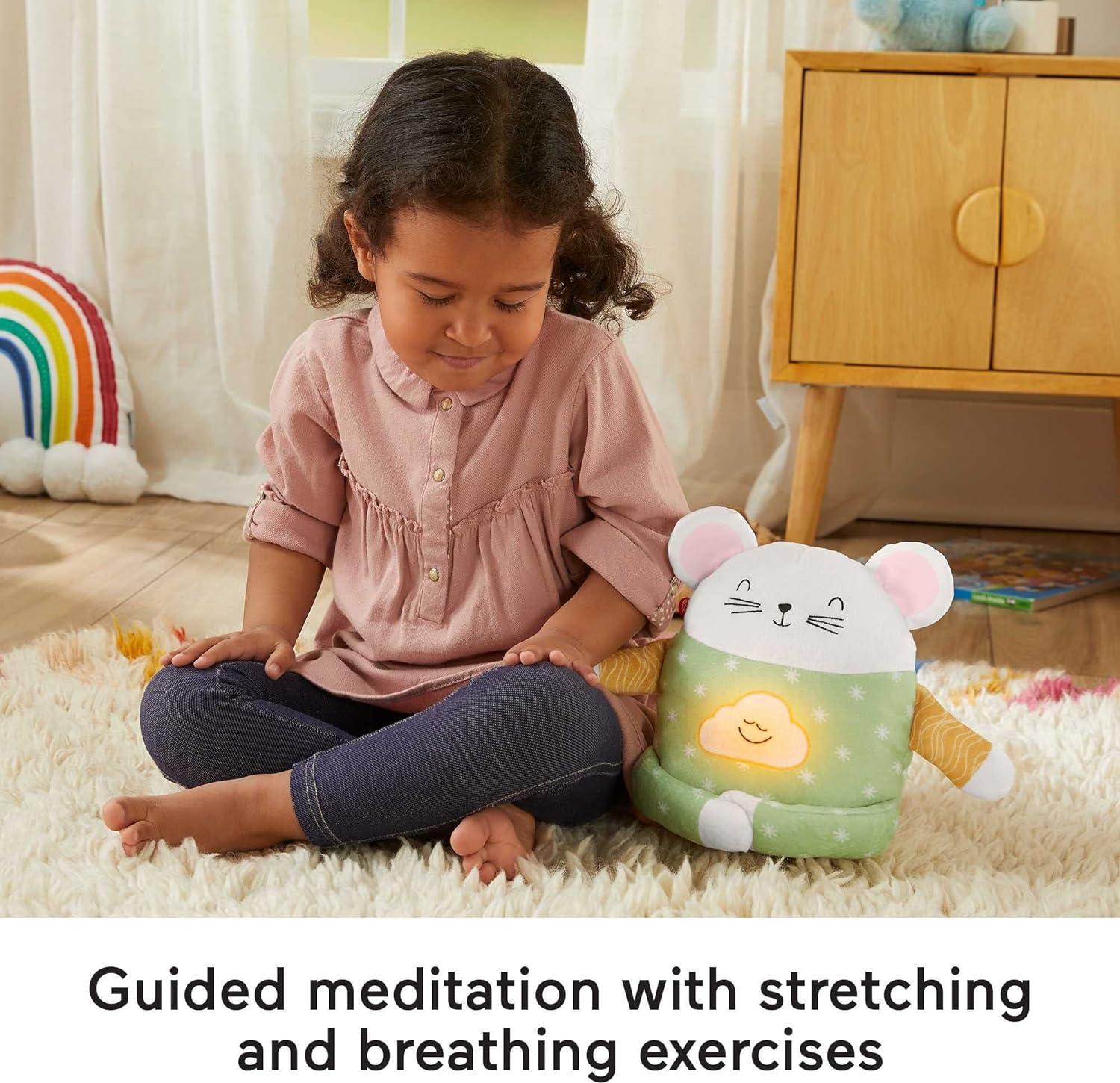 Fisher-Price Meditation Mouse Plush Toy - Soothing Sounds & Guided ...