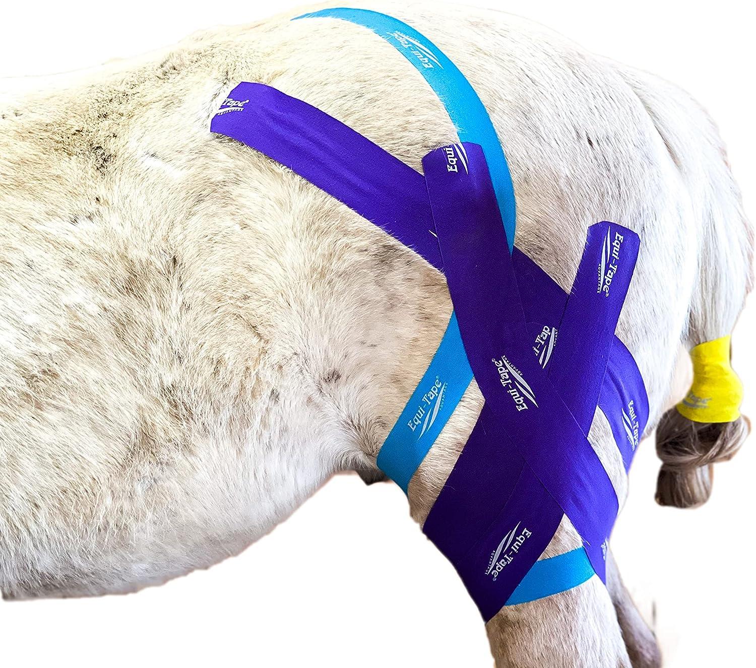 Equi-Tape Advantage 3 Light Blue Tape for Horse & Pony - Muscle Pain ...