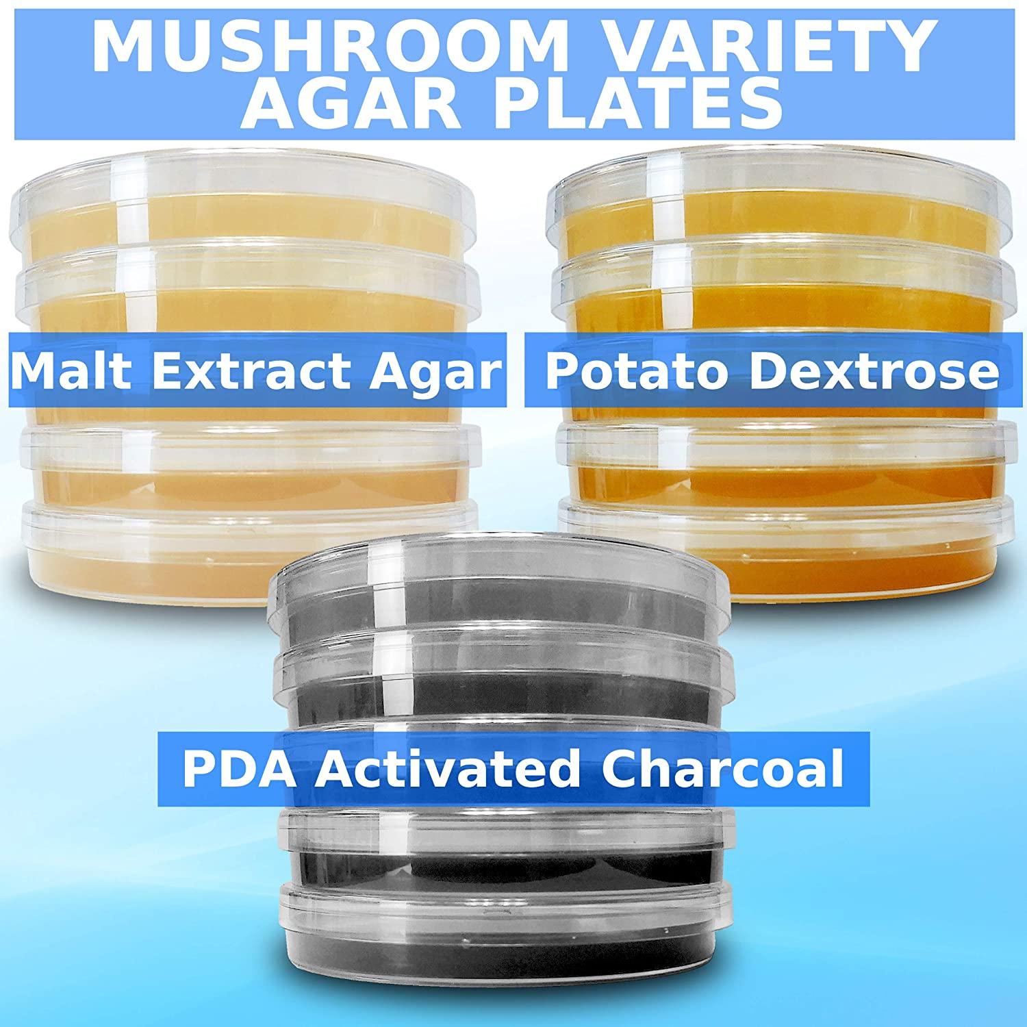 Agar Variety Kit by Evviva Sciences - Premium Performance for Mushrooms ...