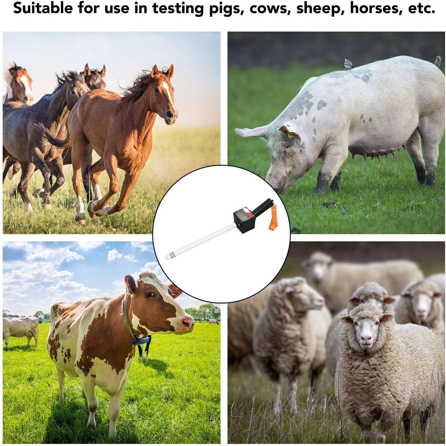 Pig Ovulation Detector Non Destructive Detection Digital Display ...