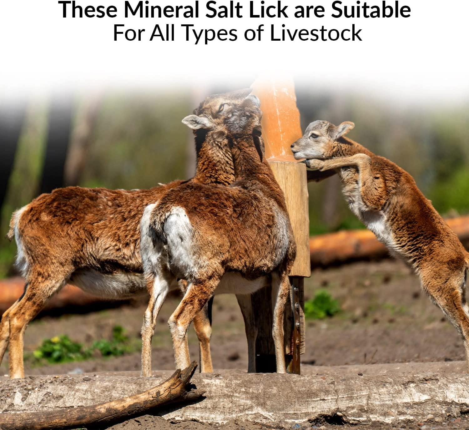Himalayan Nature Licking Salt for Deer Pack of 2 | Buy Now with Express ...