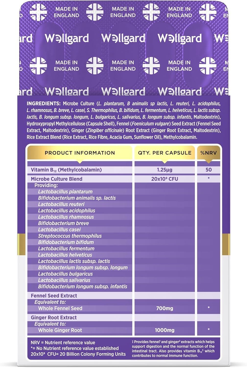 Wellgard Gutstar Probiotics - 16 Strain Probiotics for Gut Health with ...
